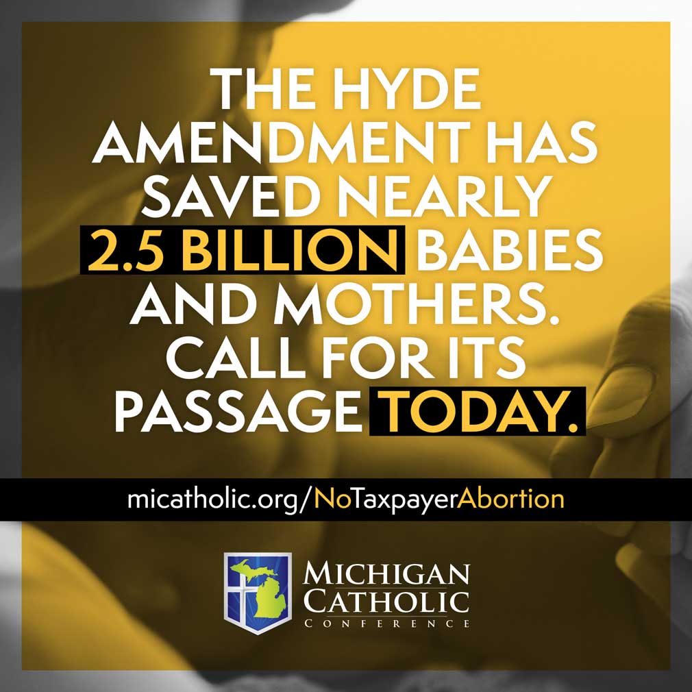 Index of /assets/img/advocacy/misc/nta